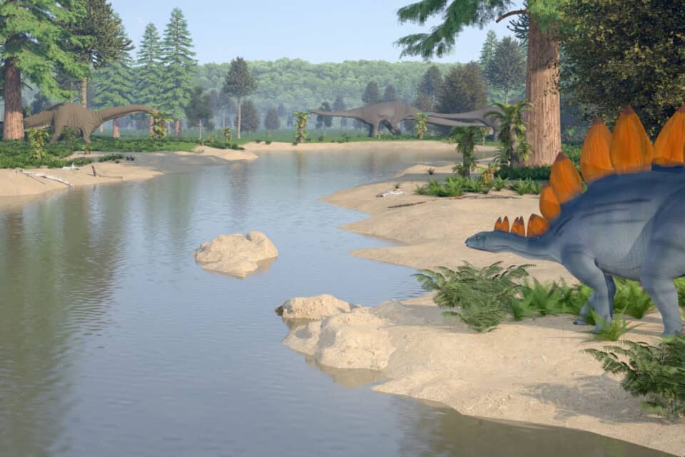 Dinosaur National Monument - Northern Light Productions